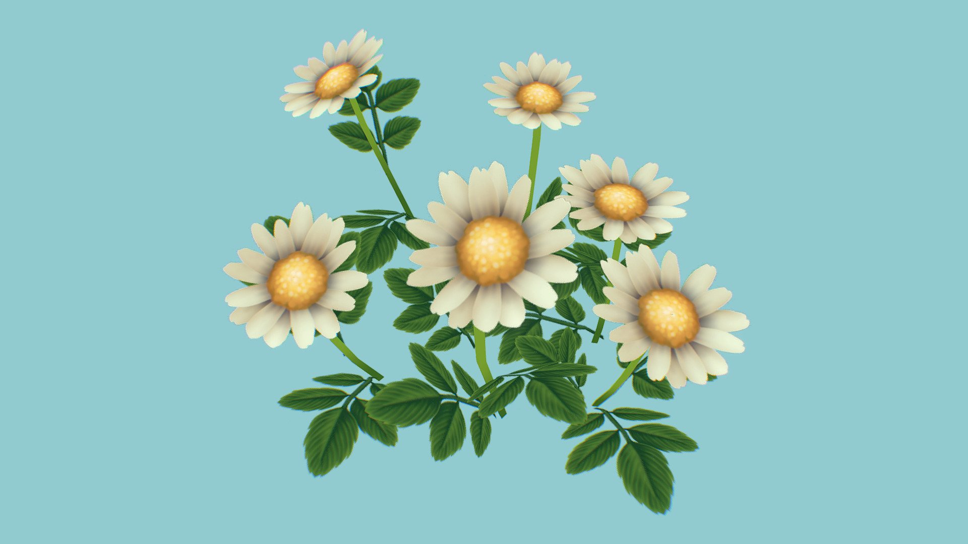 Daisy - 3D model by ina_tomecek [65b741d] - Sketchfab