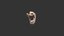 Australopithecus (2501.1rp42) - Download Free 3D model by RLA ...
