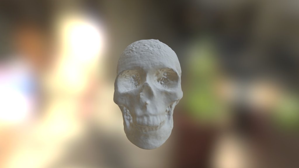 Skeleton Head - 3D model by mastakojo [65be332] - Sketchfab