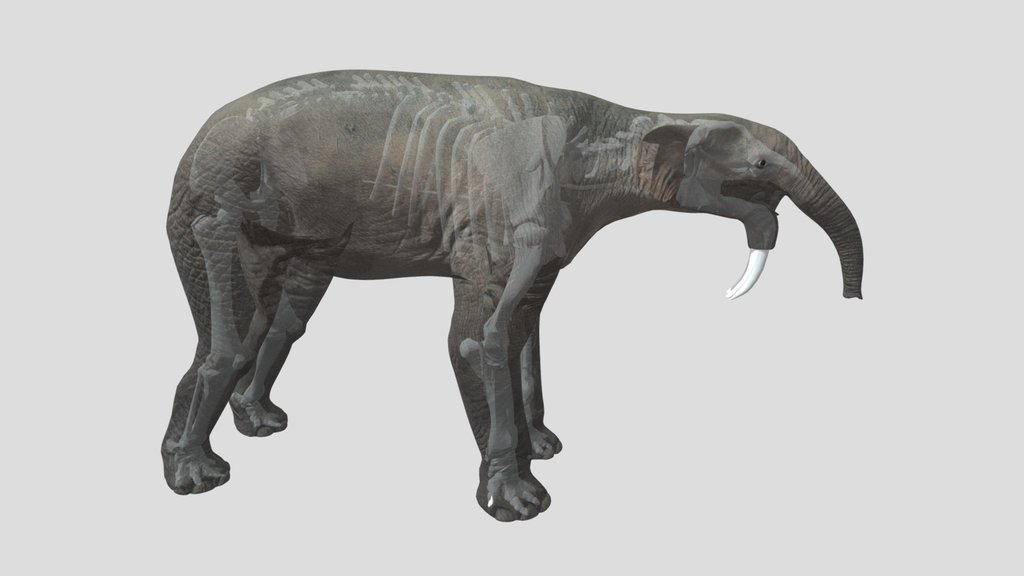 Pliocene - A 3D model collection by Paleobiome - Sketchfab