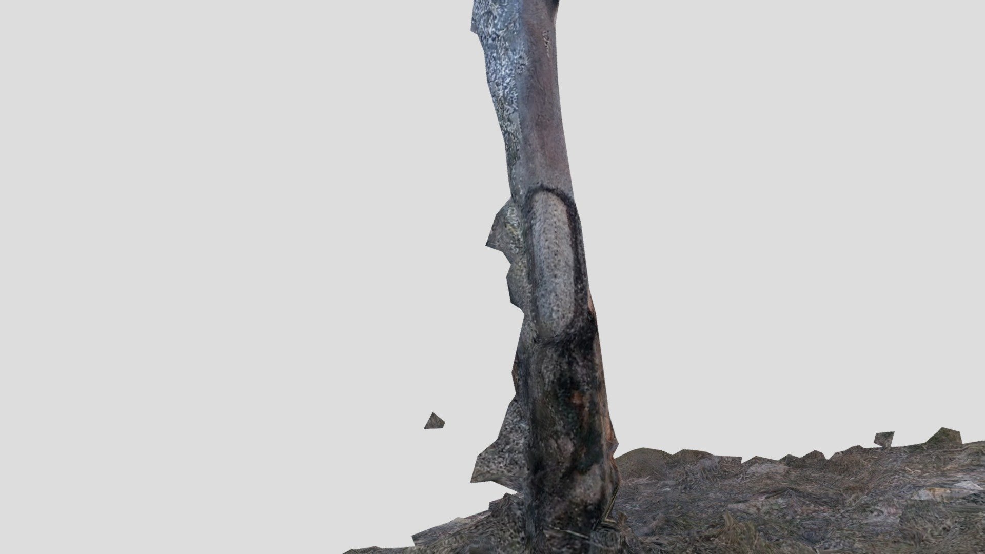 Scarred Tree - 3D model by Dimitridouchin [65c7cfe] - Sketchfab