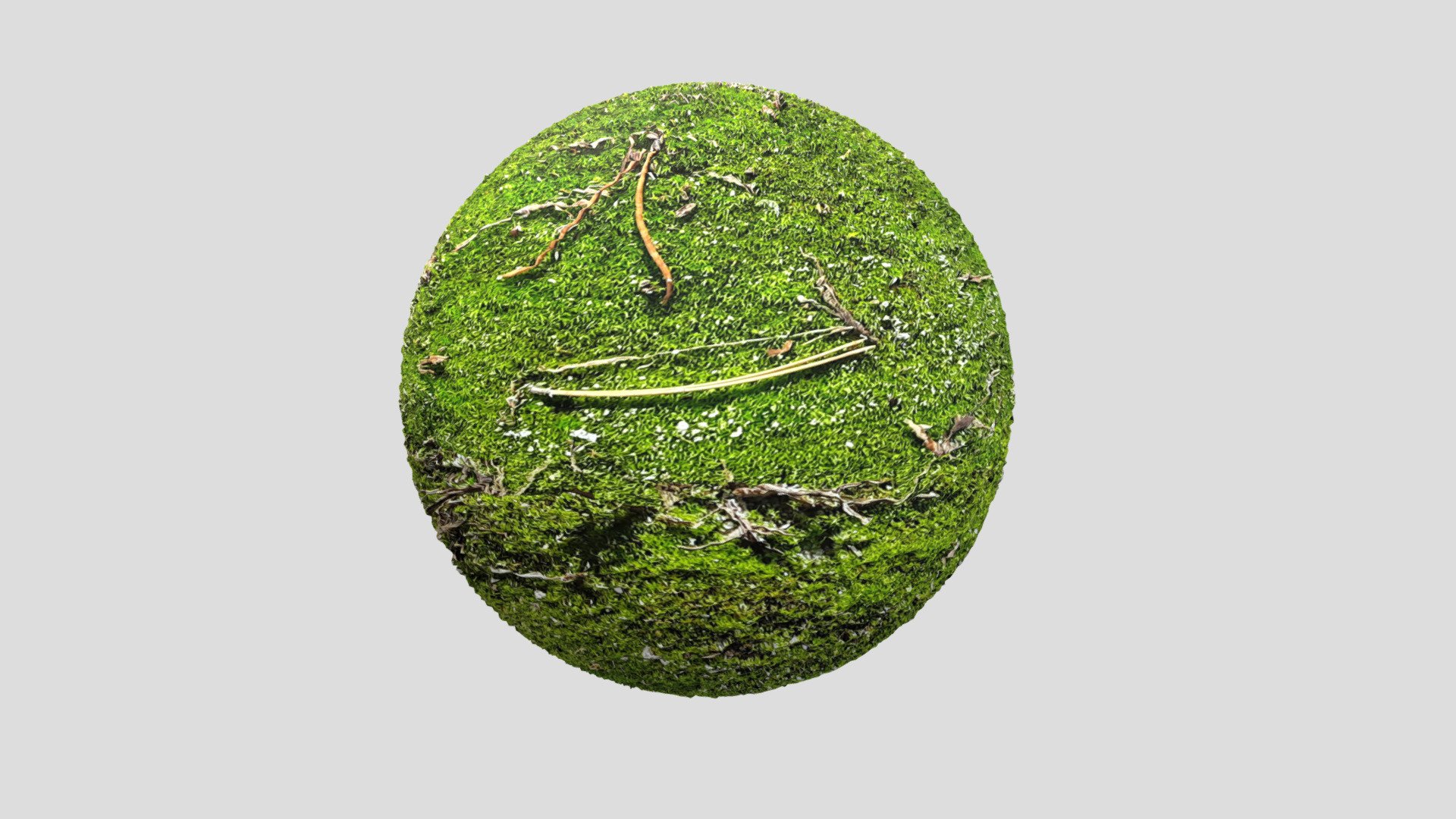 Moss Material - 3D model by alesya3d [65d22ff] - Sketchfab