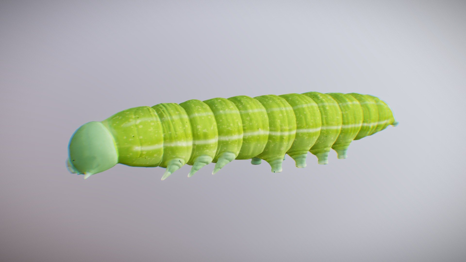 Caterpillar - 3D model by YegorSmirnov [65d2a37] - Sketchfab