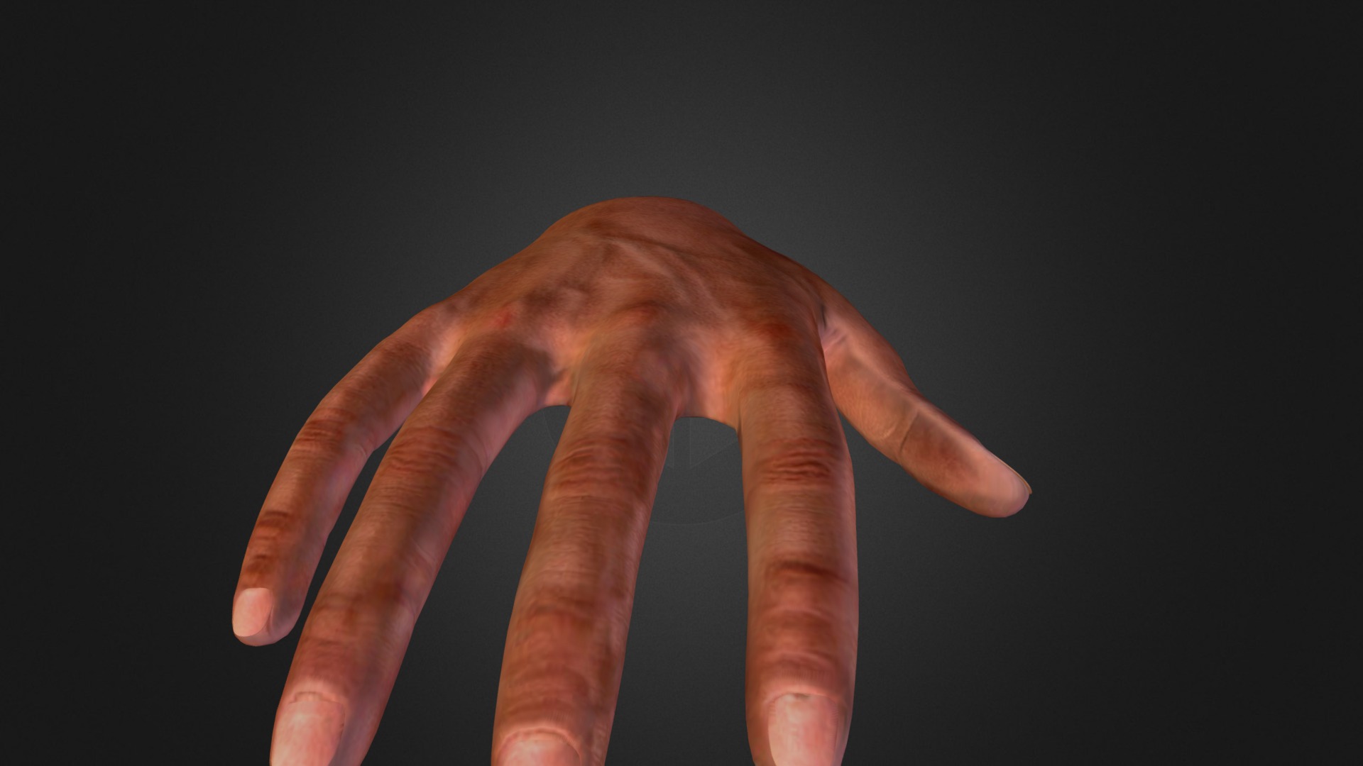 Game-Ready Hand - 3D model by balazsberky [65d86a2] - Sketchfab