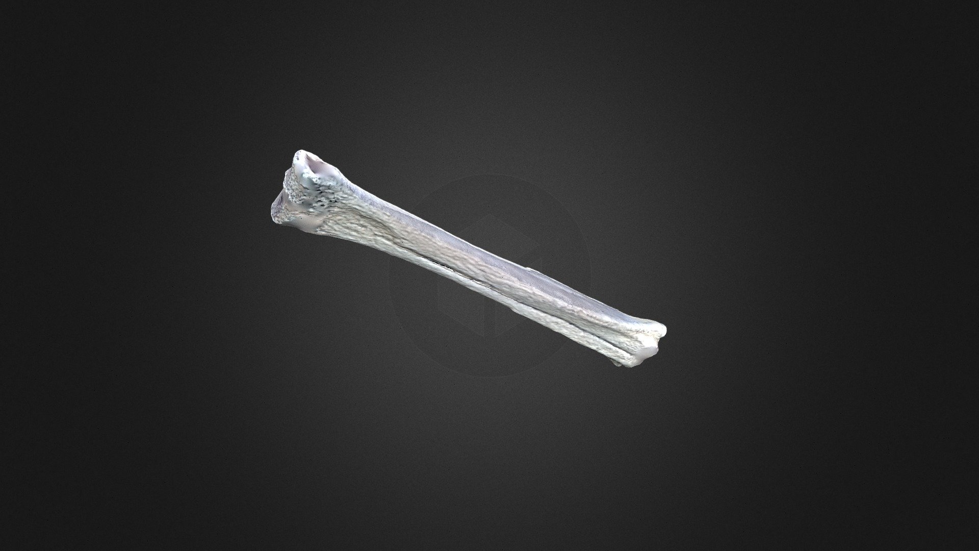 SA1 - S6 E9 - Download Free 3D model by Nrodriguezs [65e33b6] - Sketchfab