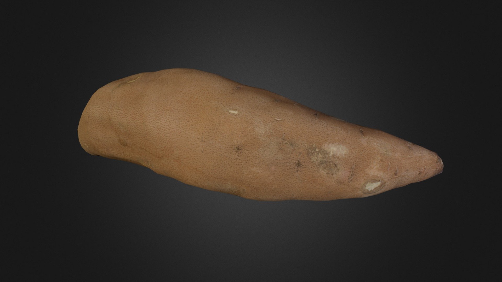Yam 1500 4k - Download Free 3D model by 604scans [65e6e24] - Sketchfab