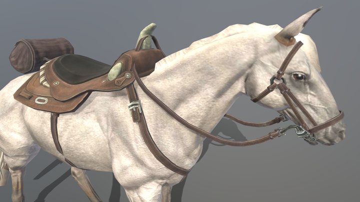 Blender_horse 3D models - Sketchfab