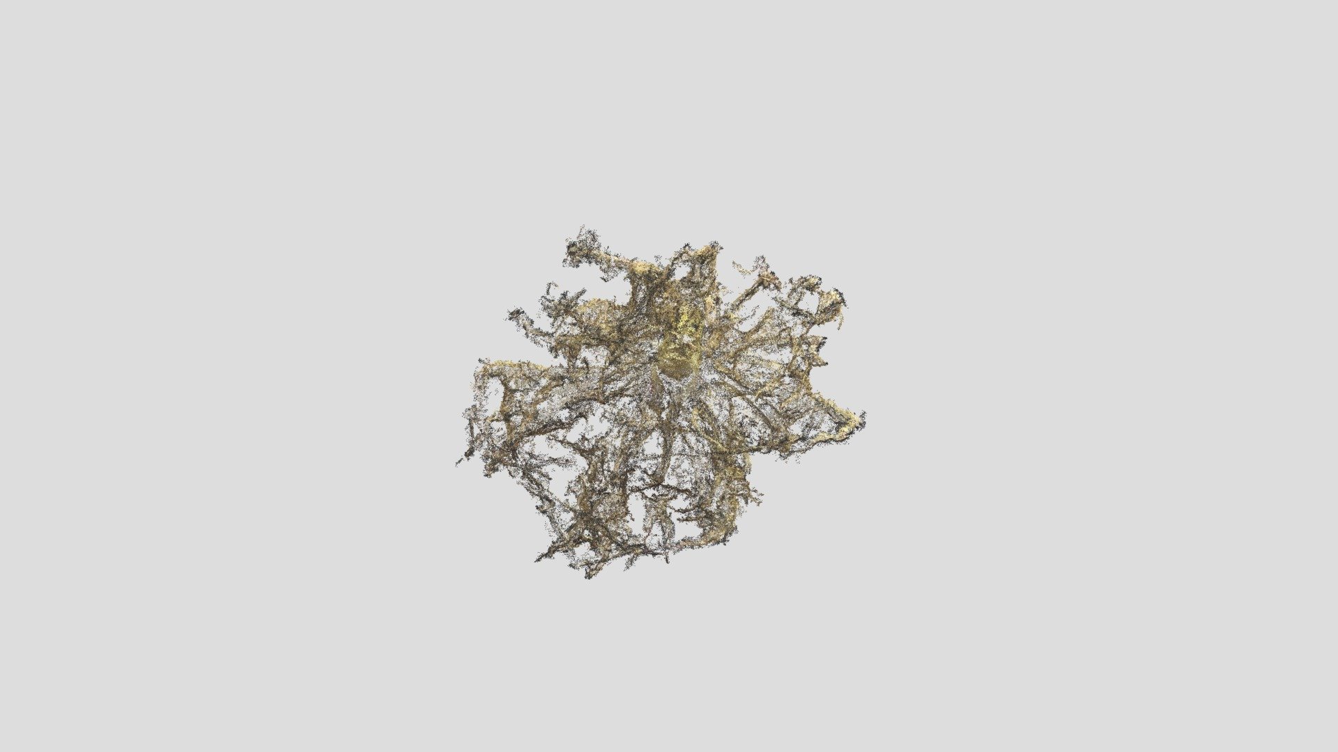 Sample of 3D field-based maize root model - 3D model by Computational ...