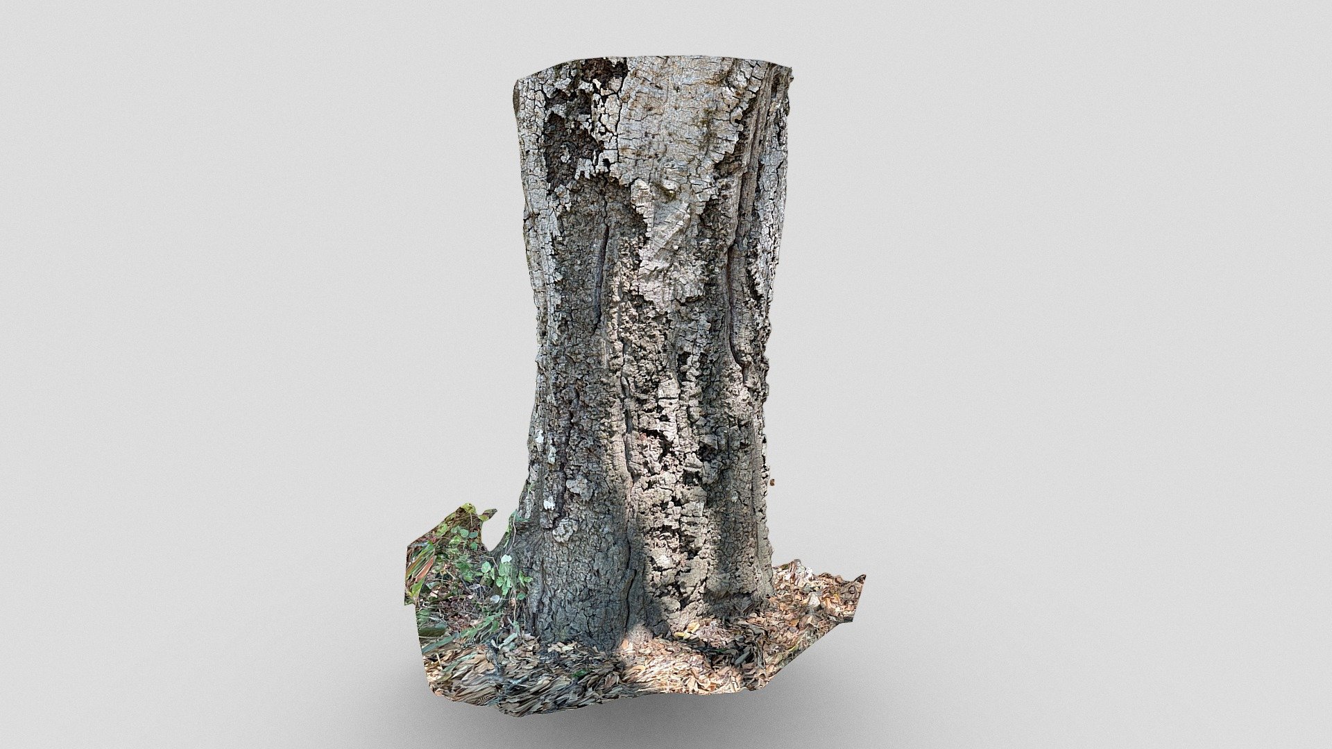 Tree bark - Download Free 3D model by Emm (@edemaistre) [65eef89 ...