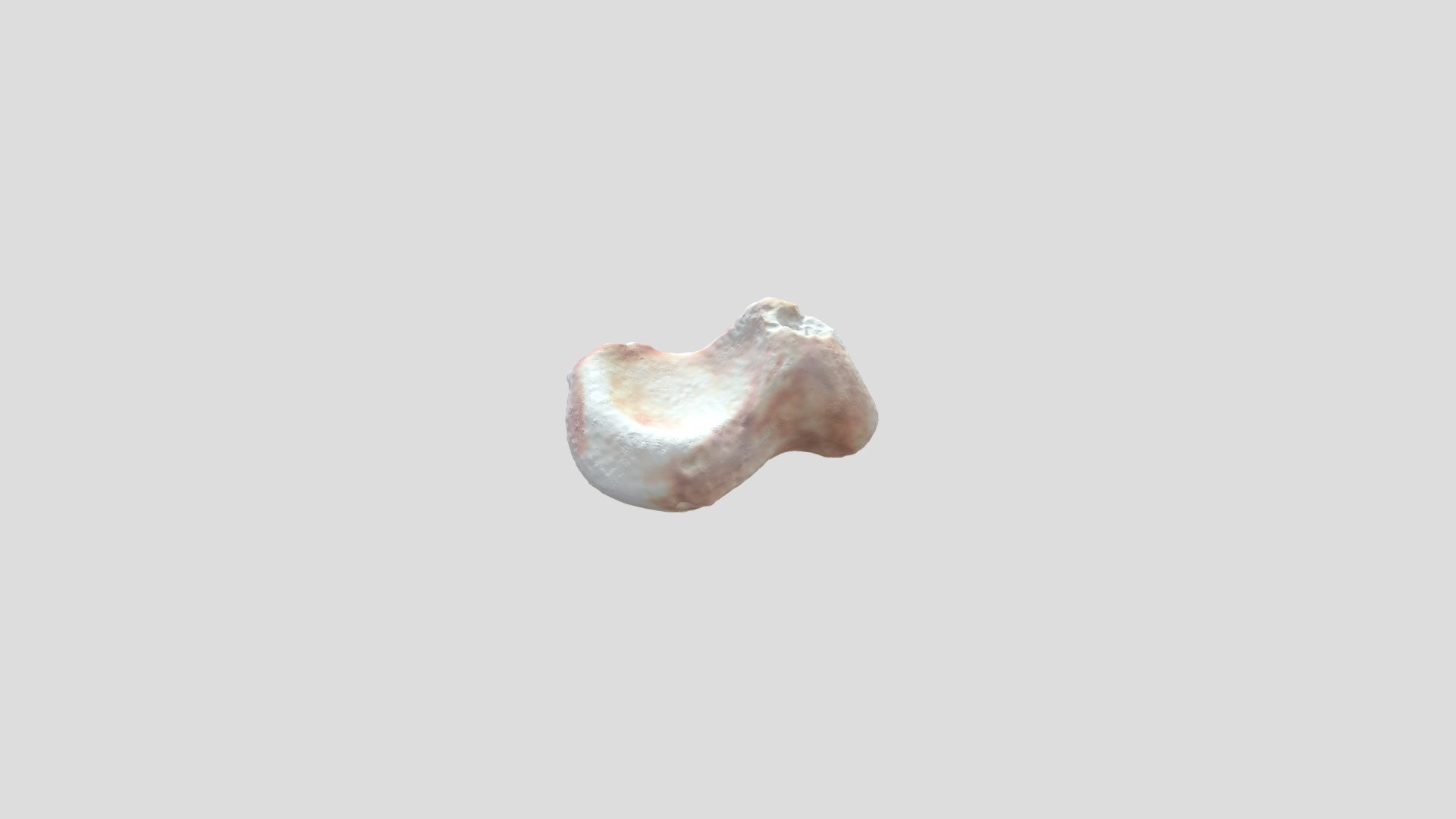 Scaphoid - 3D model by kucharm [65f2c97] - Sketchfab