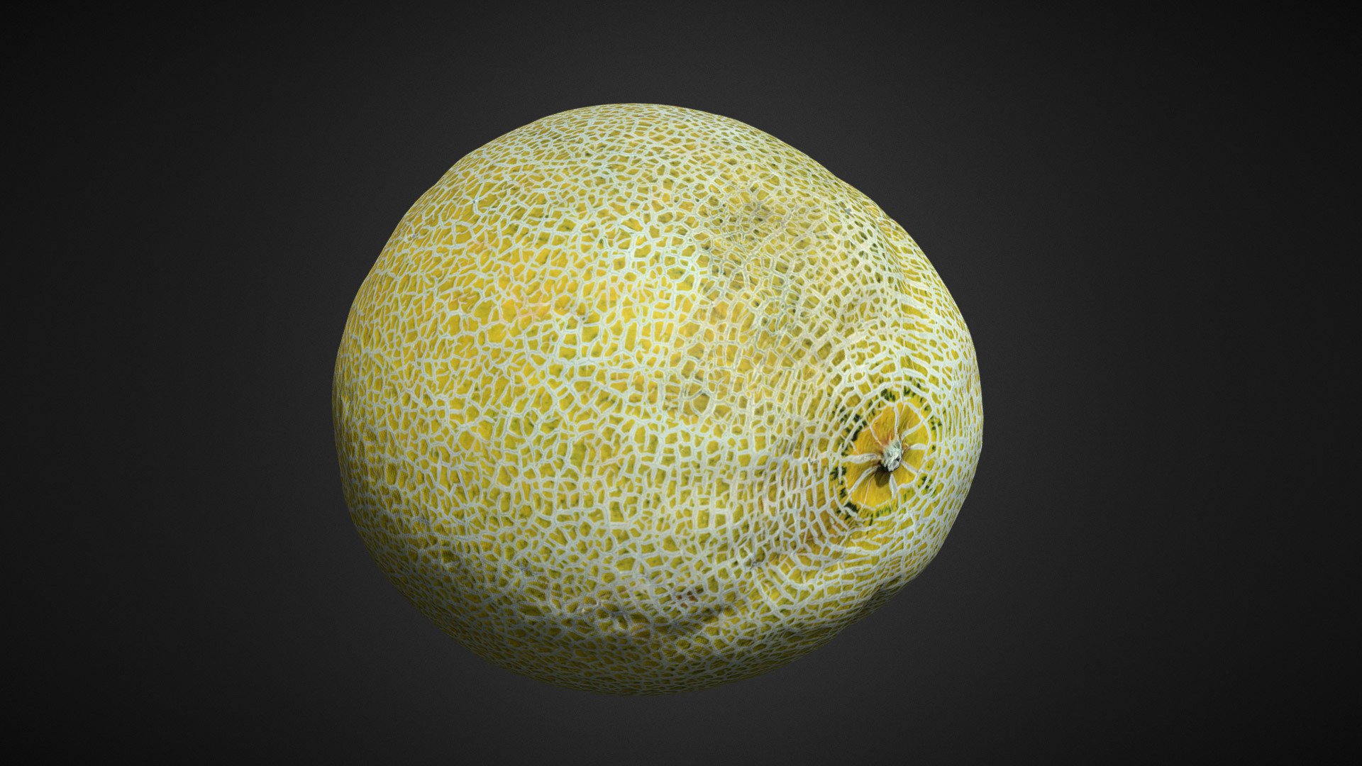 Melon Galia photogrammetry - Download Free 3D model by PGSimulation (@lama99) [65f37e4] - Sketchfab
