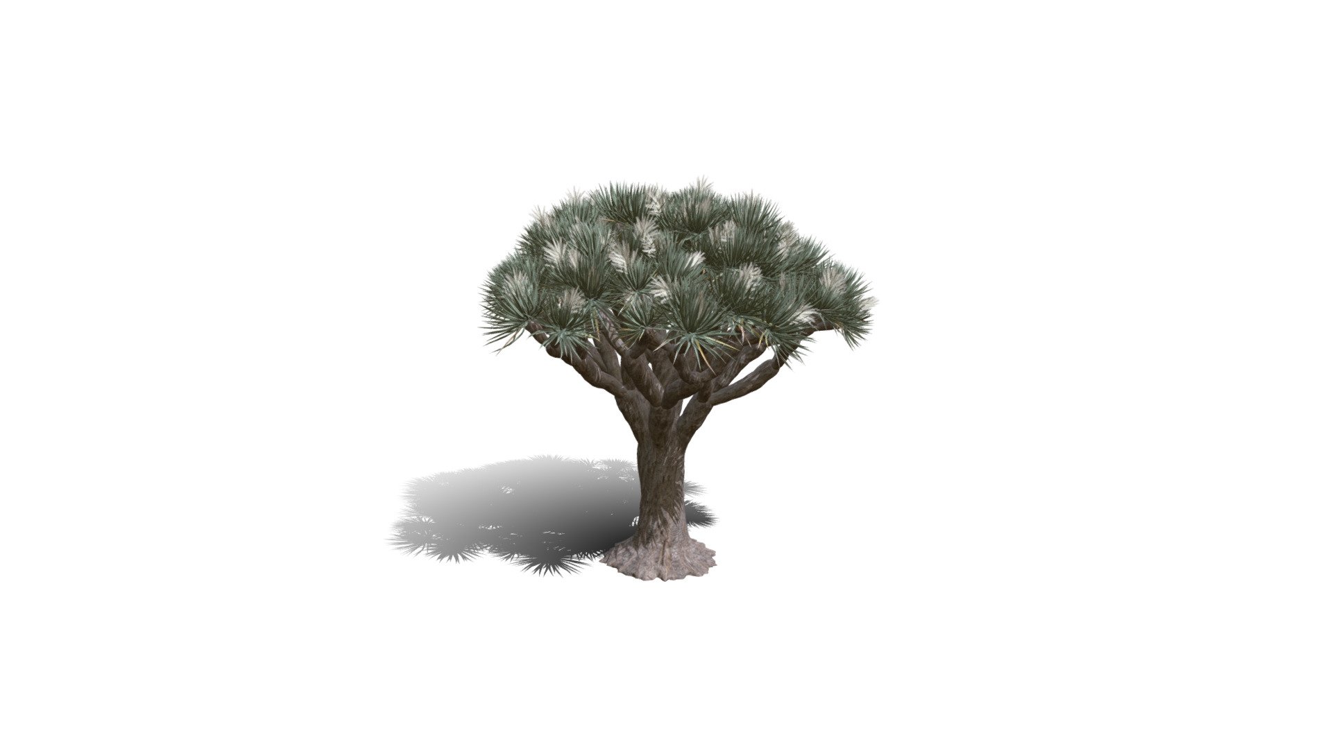 Realistic HD Dragon tree (5/50) - Download Free 3D model by ...
