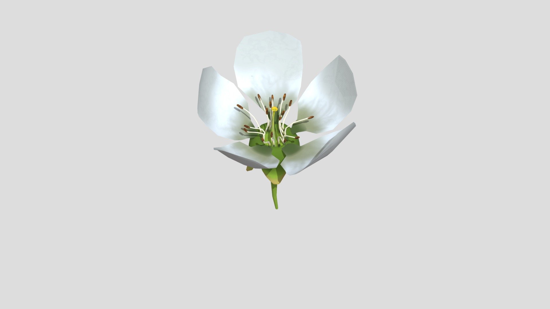 Flower_Full_Single_Plane - 3D model by DESIGNTRIX STUDIO (@DESIGNTRIX ...