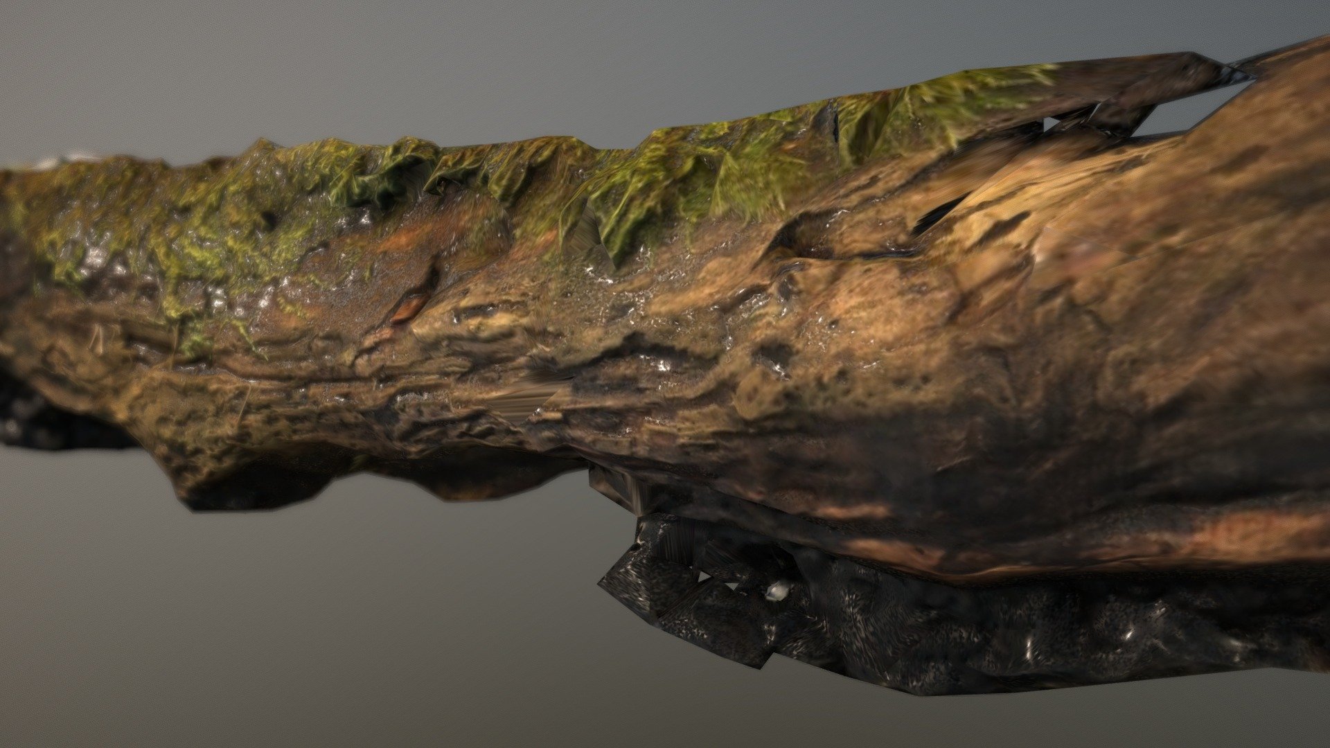 photoscanned branch low poly - Buy Royalty Free 3D model by v124entkl ...