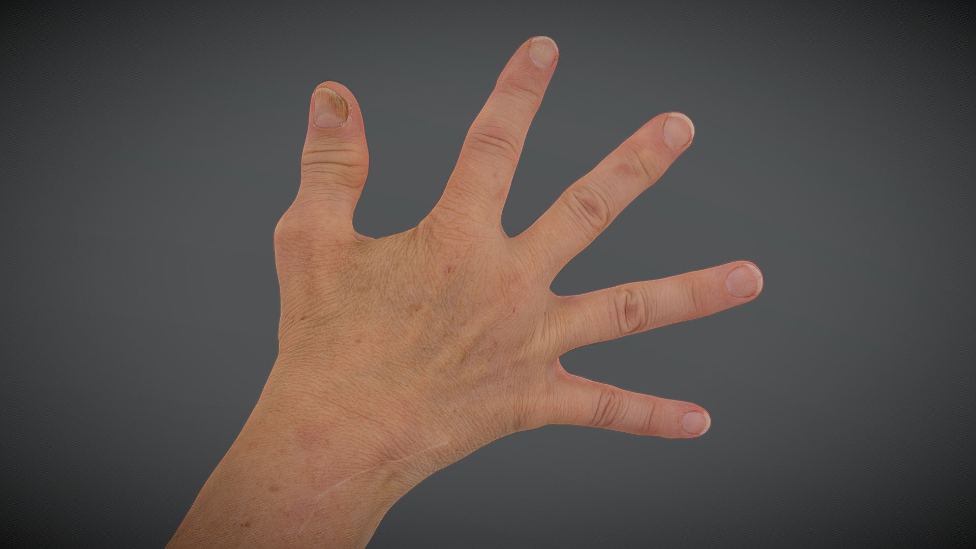 Hand 3DScan Retopo - 3D model by Frank.Zwick (@Frank_Zwick) [6614f92 ...