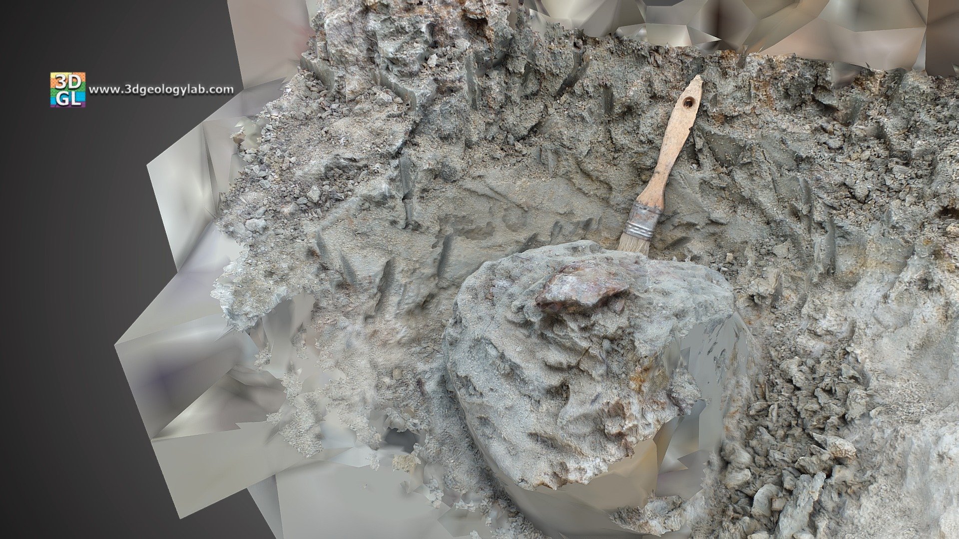 Fossil (HFossil1) - 3D model by 3D Geology Laboratory (@3DGeologyLab ...