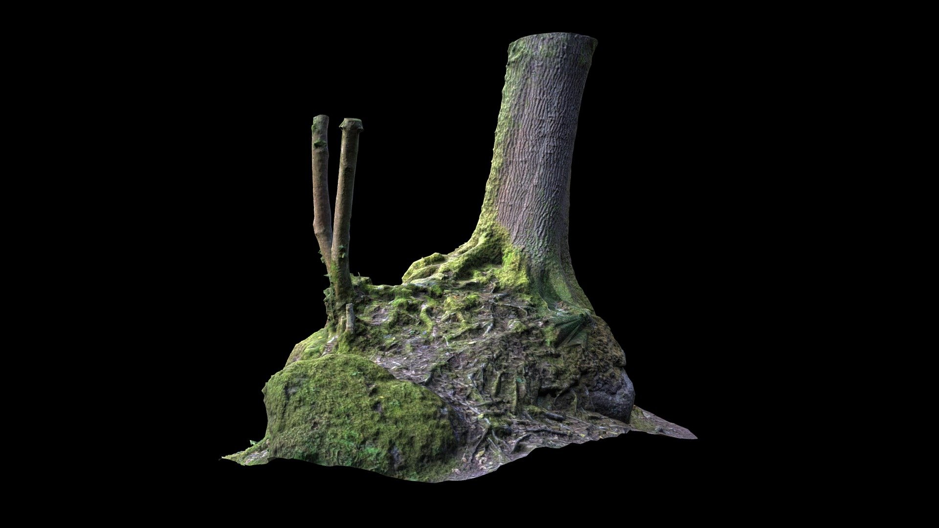 Large Tree base and Rock outcrop_Devon forest_UK - Download Free 3D ...