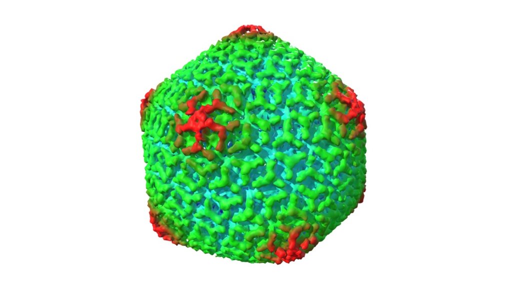 EMDB › EMD-8304 - 3D model by Interactive 3D Data (@proteinsimulation ...