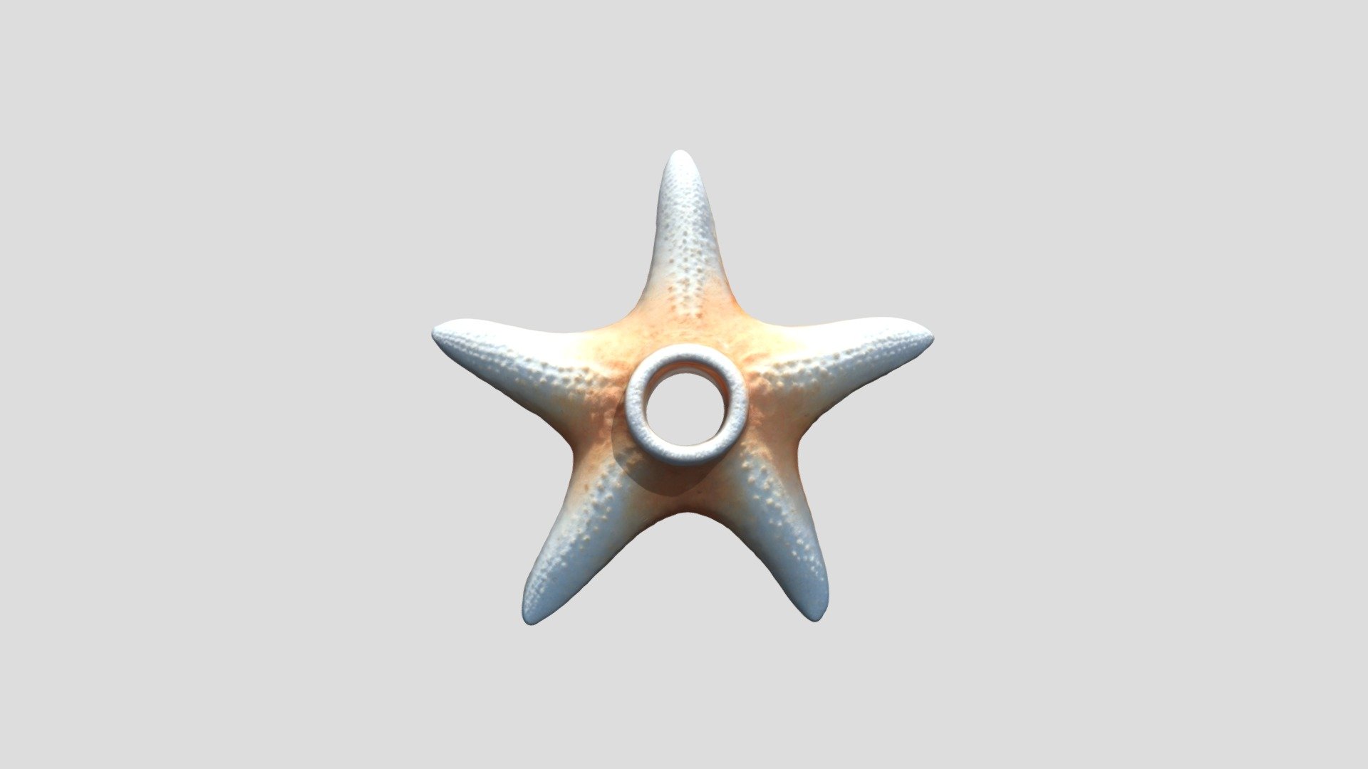 Starfish Nacho Holder - 3D model by alicijabrinovec11 [661e8fa] - Sketchfab