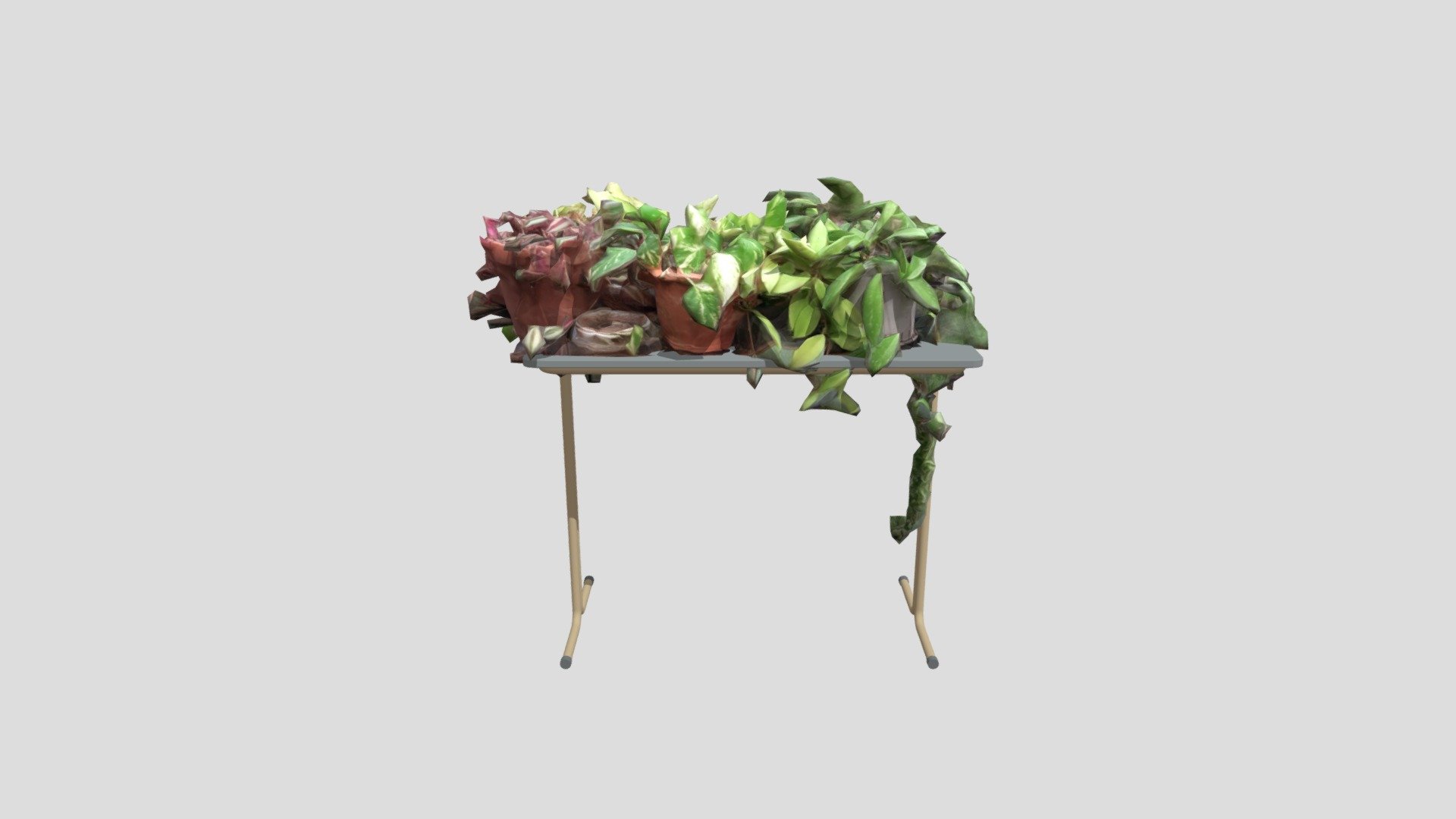 PLANTS ON TABLE - 3D model by ben.coste [662165d] - Sketchfab