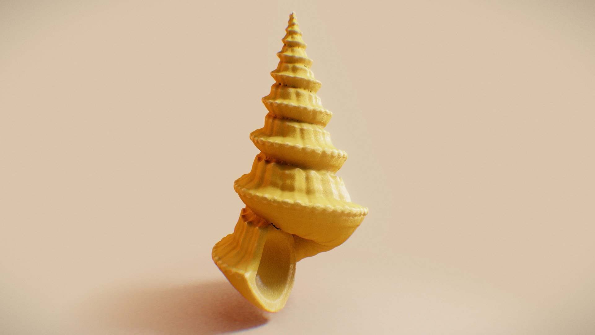 Sculpt january day #25 - Shell - Download Free 3D model by Noss ...