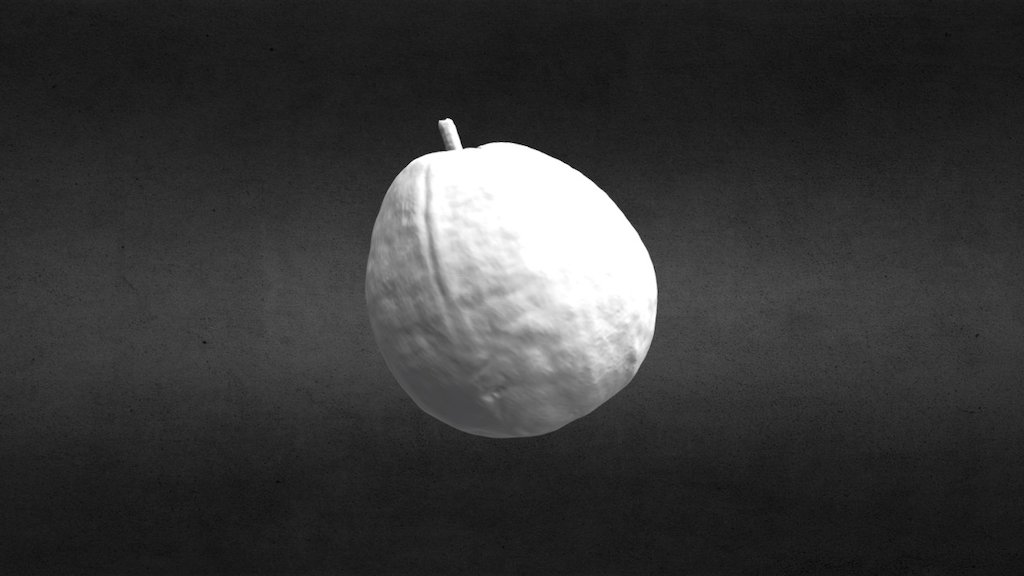 025/365 Guava - Download Free 3D model by mjchen [66295f2] - Sketchfab