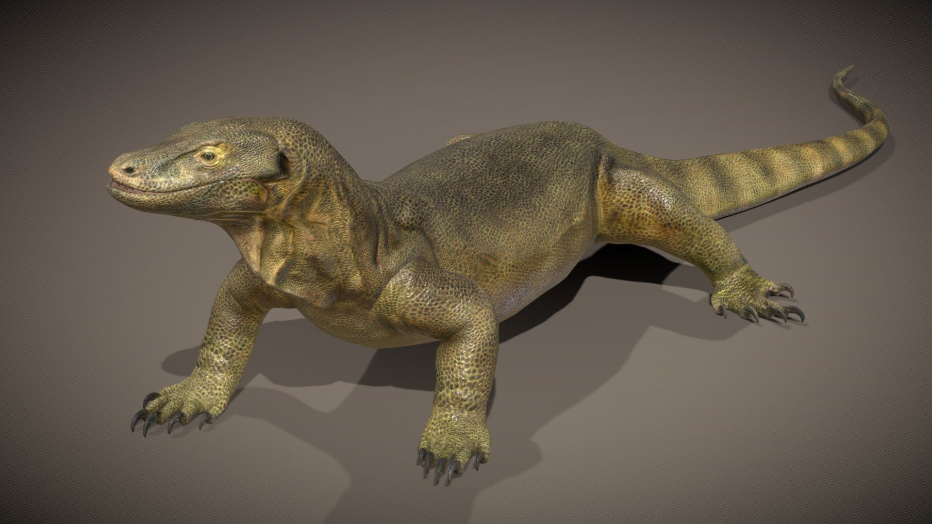 Komodo Dragon - 3D model by Nestaeric [663d862] - Sketchfab