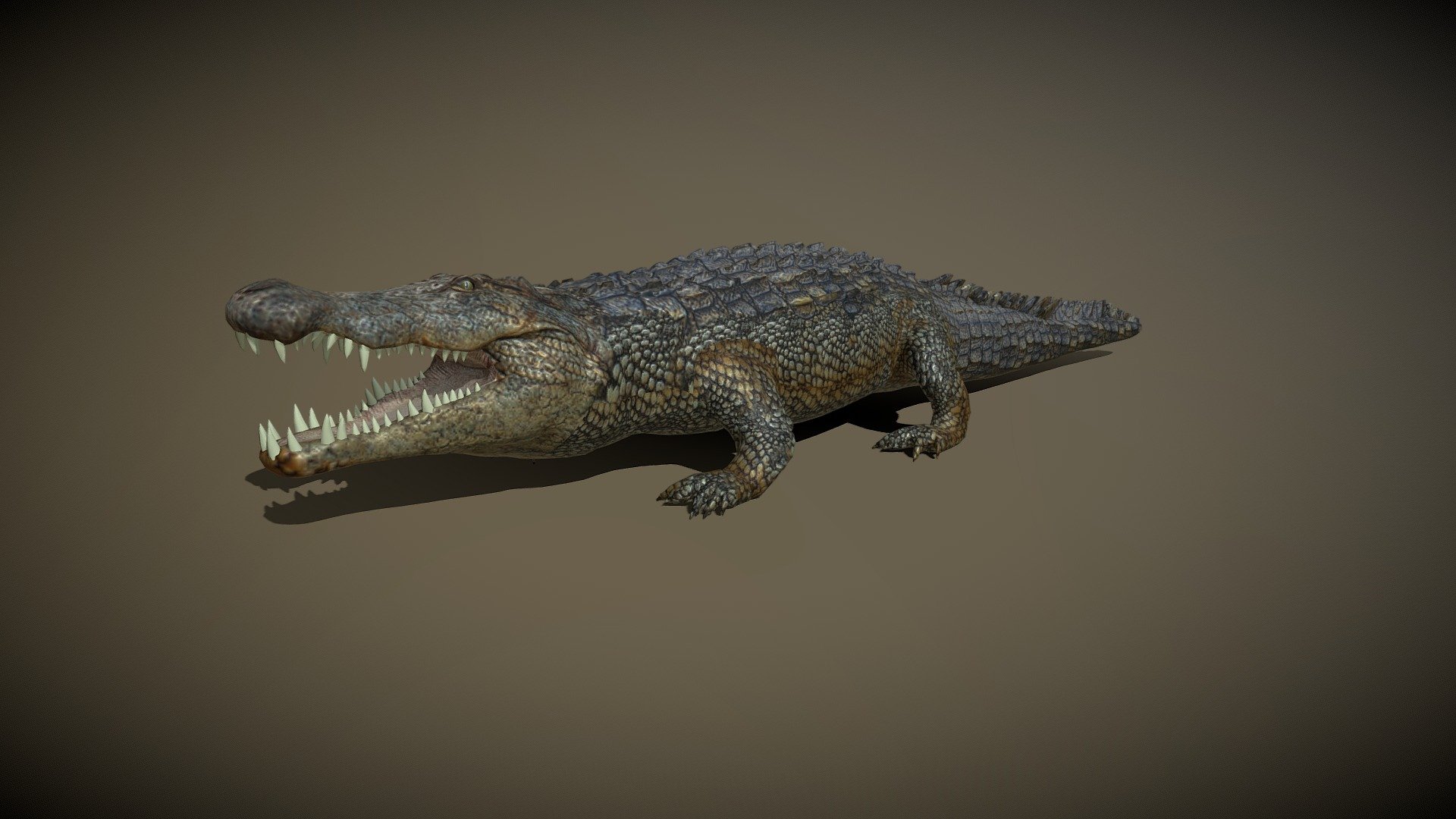Aligator_rigged - Buy Royalty Free 3D model by pinotoon [664650d ...