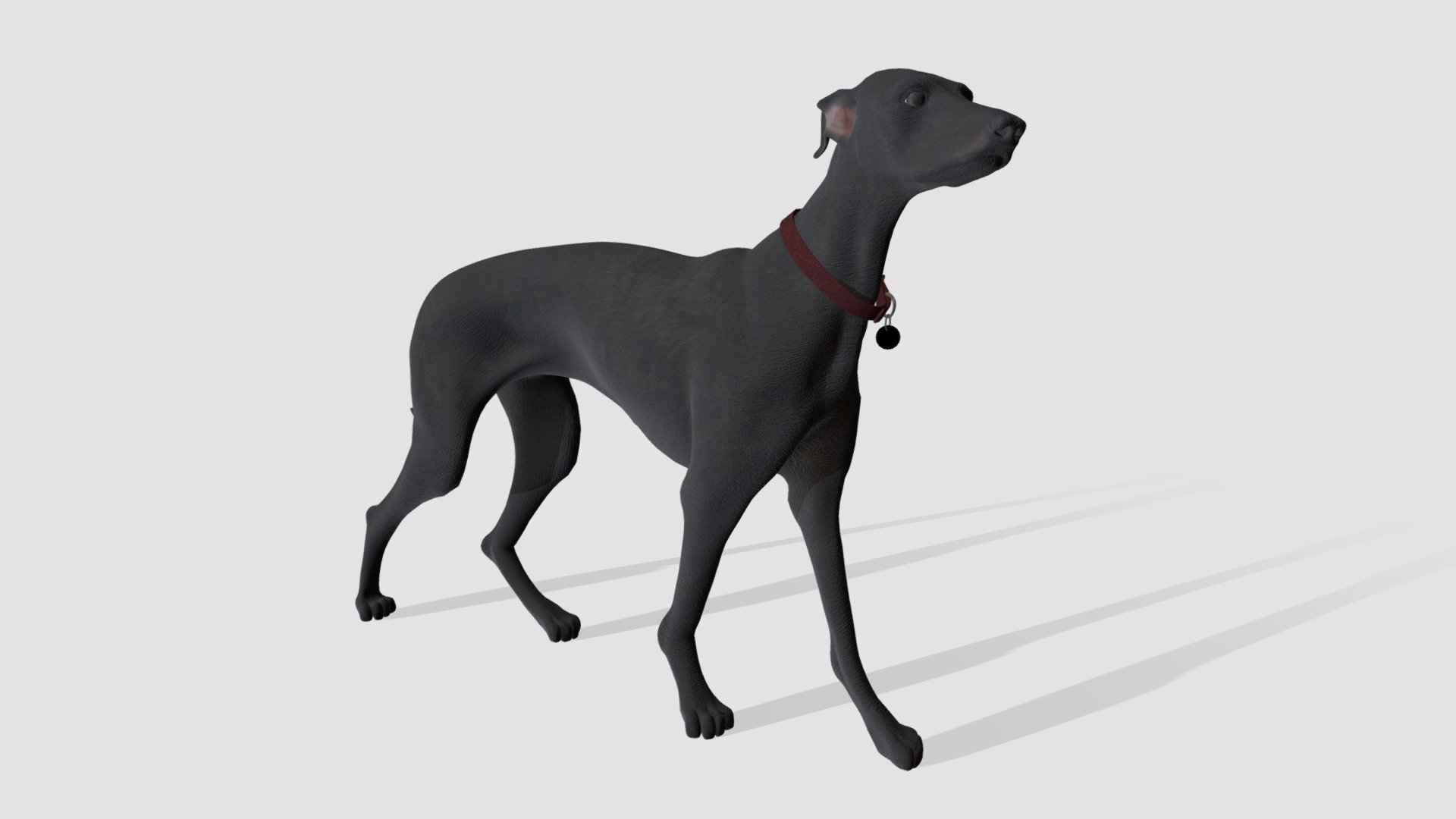 dog - Buy Royalty Free 3D model by Evermotion [6650336] - Sketchfab Store