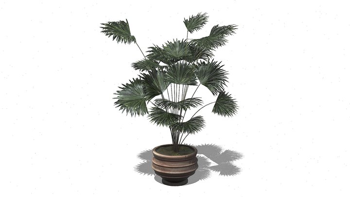 Pot 3D models - Sketchfab