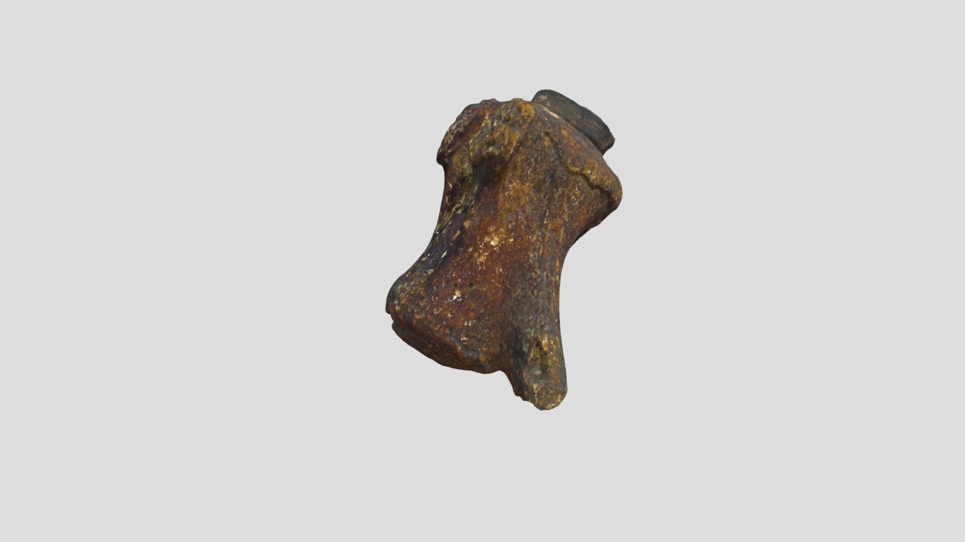 Wooden Mastodon Caudal Vertebra (VCU_3D_5006) - Download Free 3D model ...