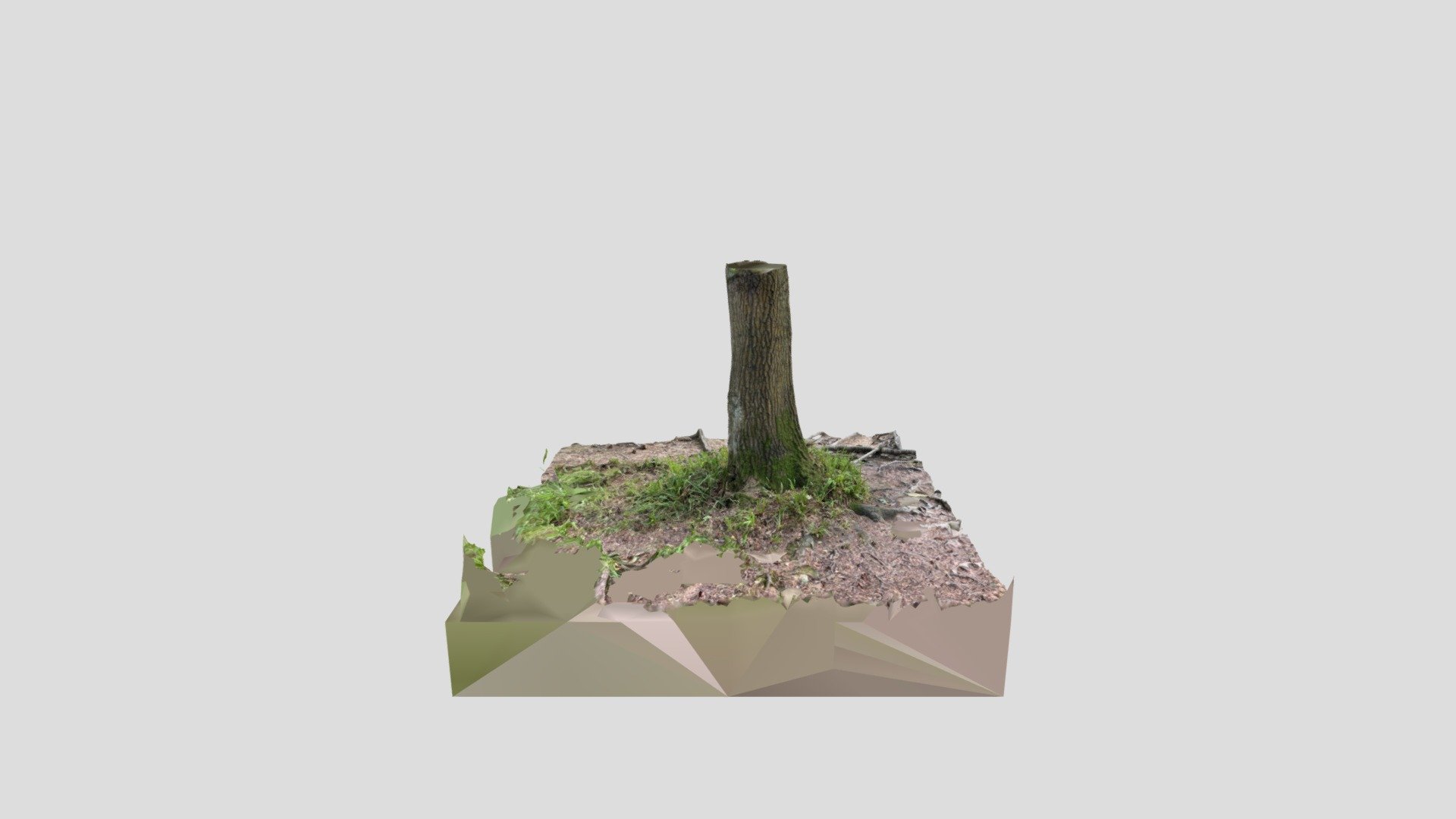 Scan 2022-07-17T16:43:55.594Z - Download Free 3D model by Jordan Spinks ...