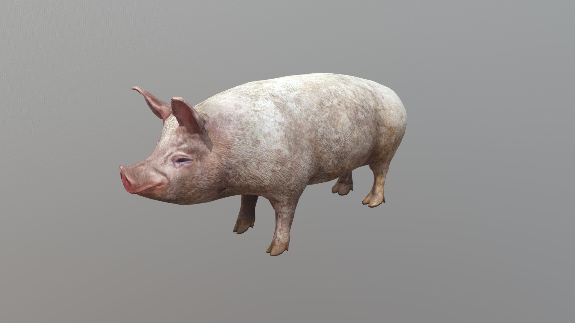 Pig - 3D model by namhaiart.com (@namhai.co.ltd) [665b96c] - Sketchfab