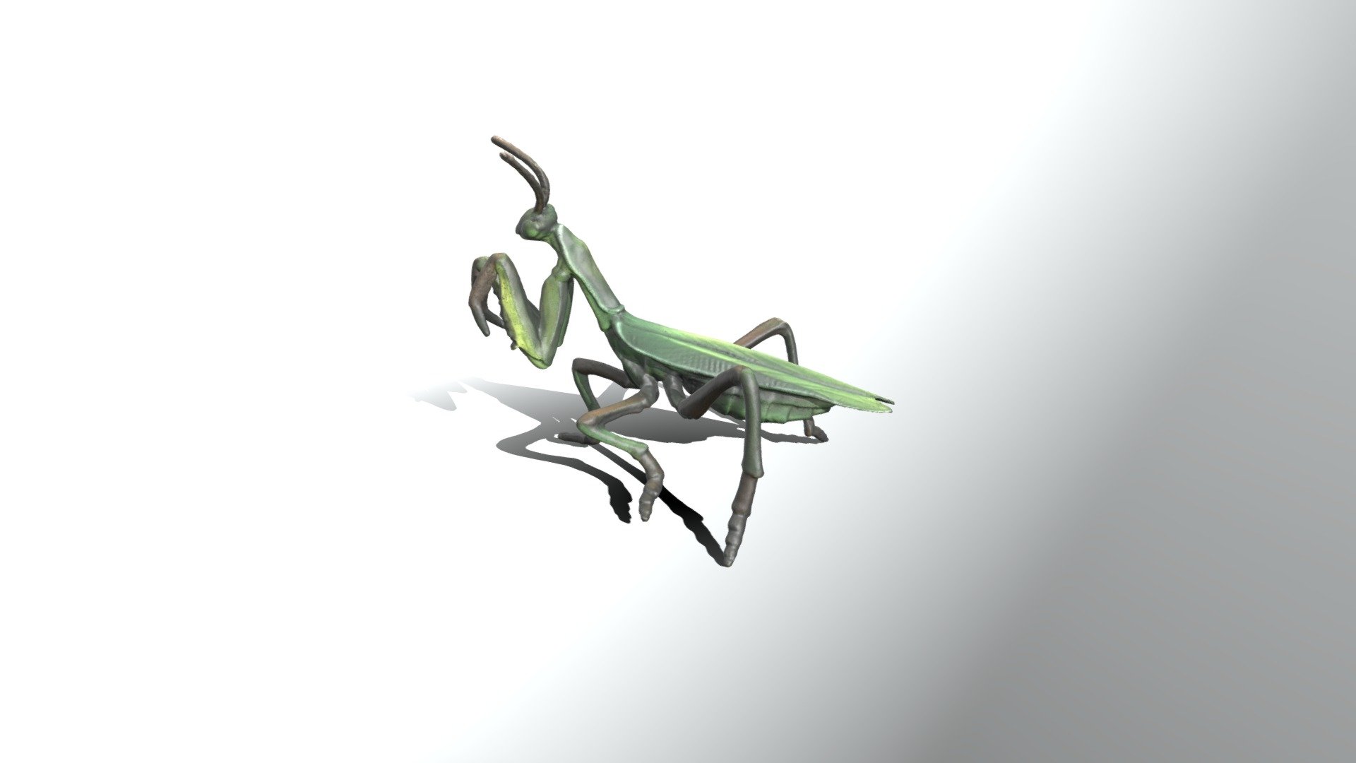 Mantis Toy - Download Free 3D model by Matter and Form (@matterandform) [665fe4f] - Sketchfab