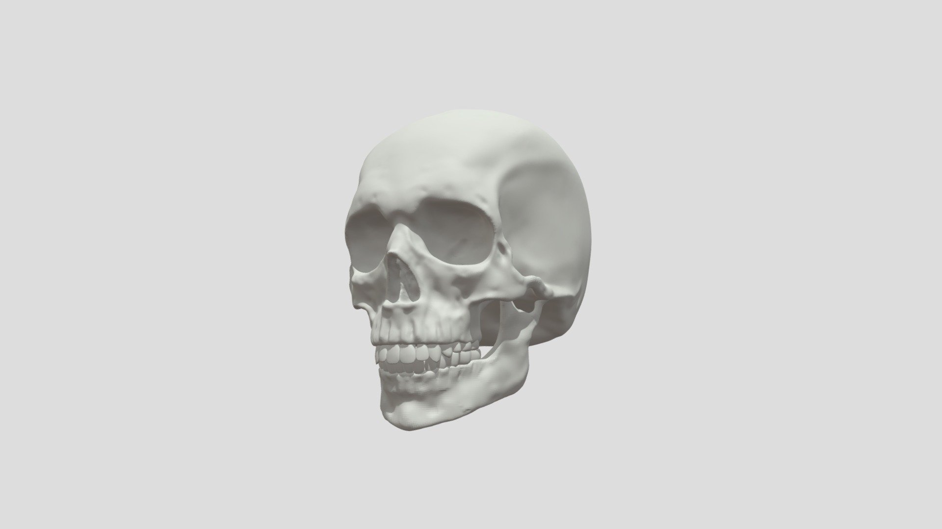Skull sculpt practice - 3D model by QuantumWolf [6669c67] - Sketchfab