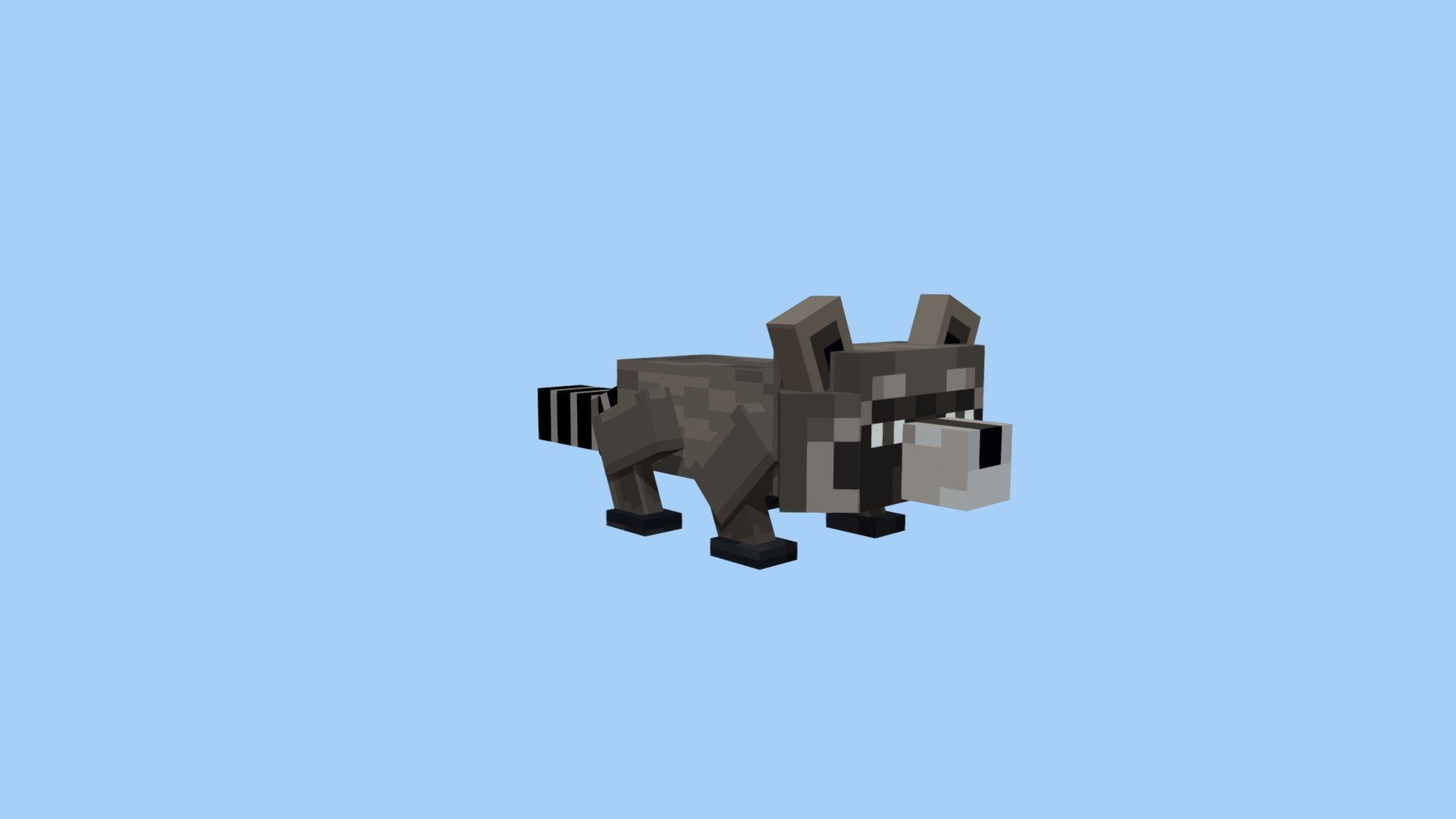 RACCON - 3D model by Adelego [6674bd9] - Sketchfab