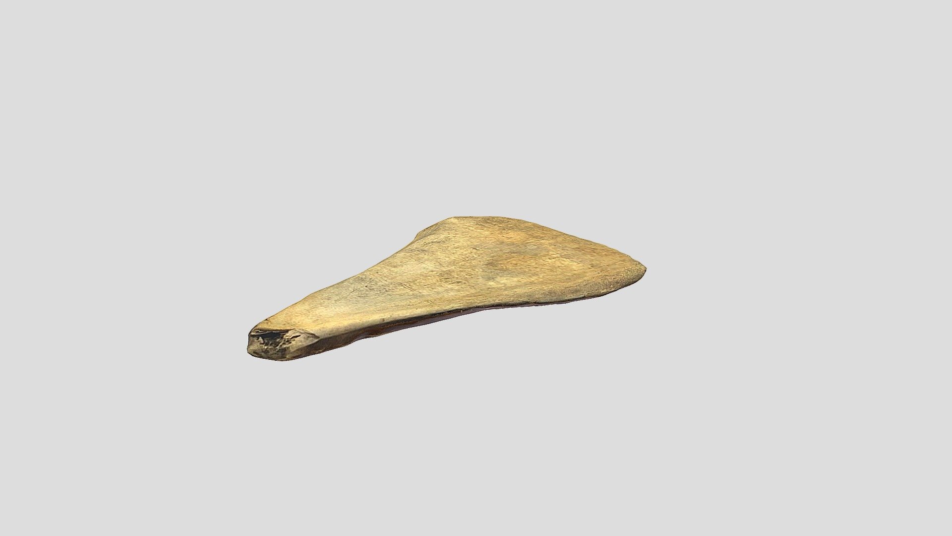 SFN 3D Project Ornamented Moose Scapula - 3D model by Fort Selkirk and ...