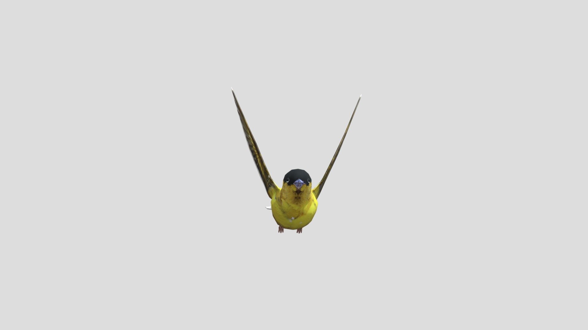 bird__fly - 3D model by efthuko [66768eb] - Sketchfab