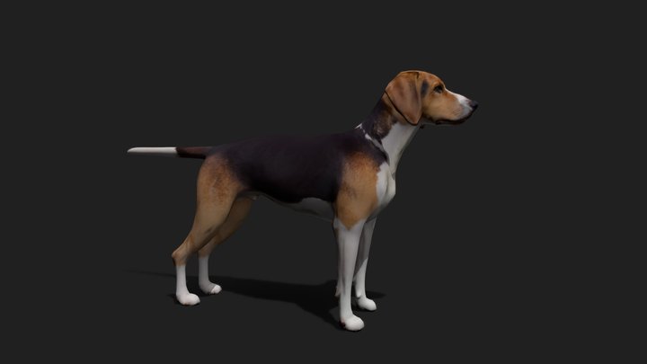 Dog 3D models - Sketchfab