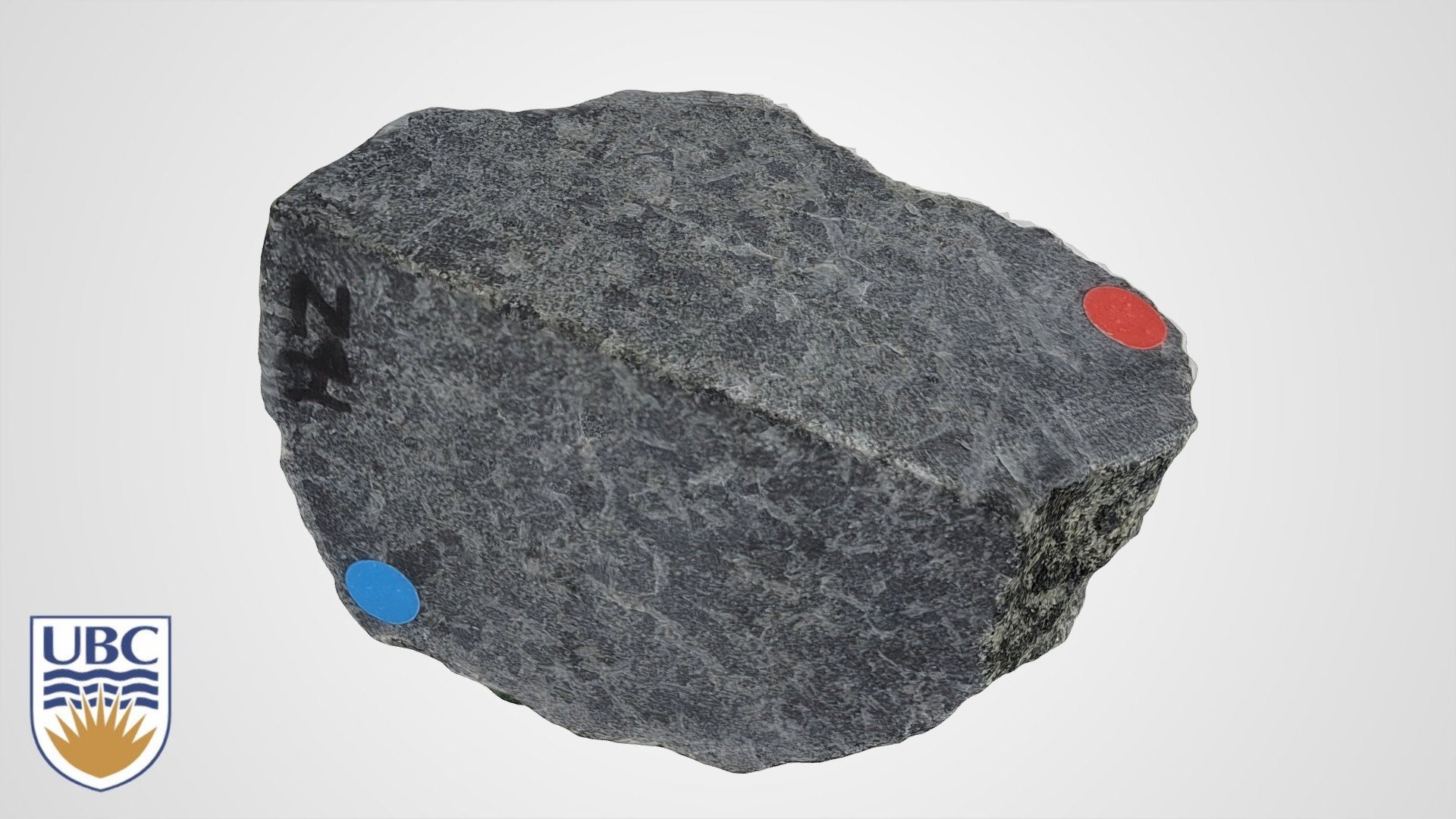 Skaergaard intrusion LZa* (SEB87-241-2) - 3D model by Nichole Moerhuis ...