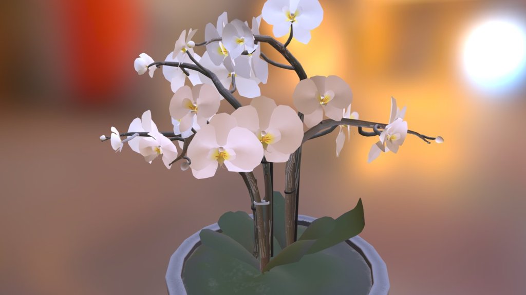 Potted Orchid - 3D model by rianyo [667f4bf] - Sketchfab