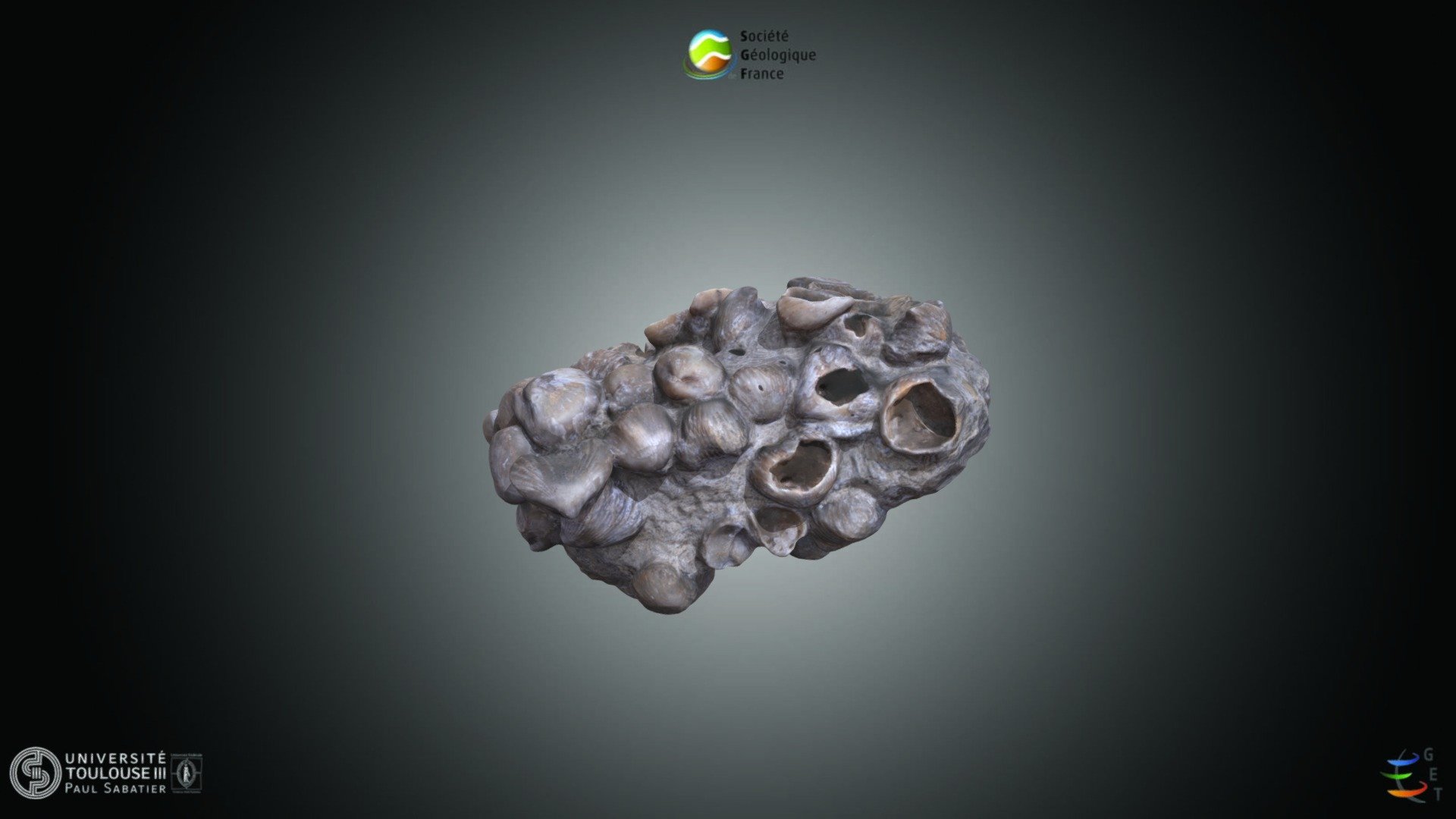 Roche - Marnes à rhynchonelles - Download Free 3D model by Société ...