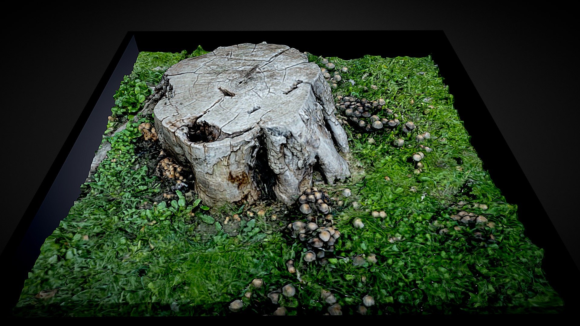 TOCON CON SETAS - Download Free 3D model by fotoluis [6686ebd] - Sketchfab