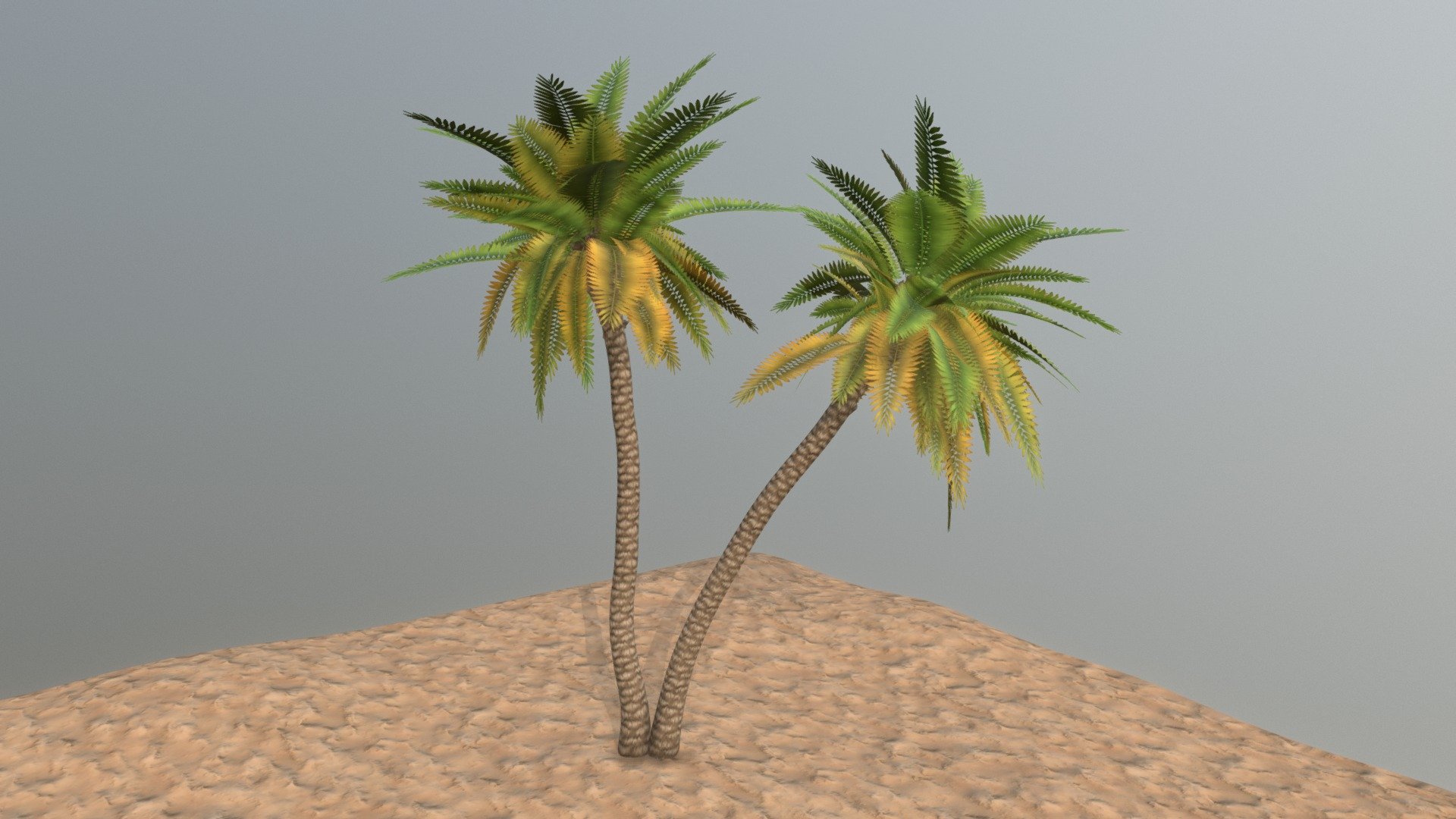PalmTree - 3D model by astrand [668b8bf] - Sketchfab