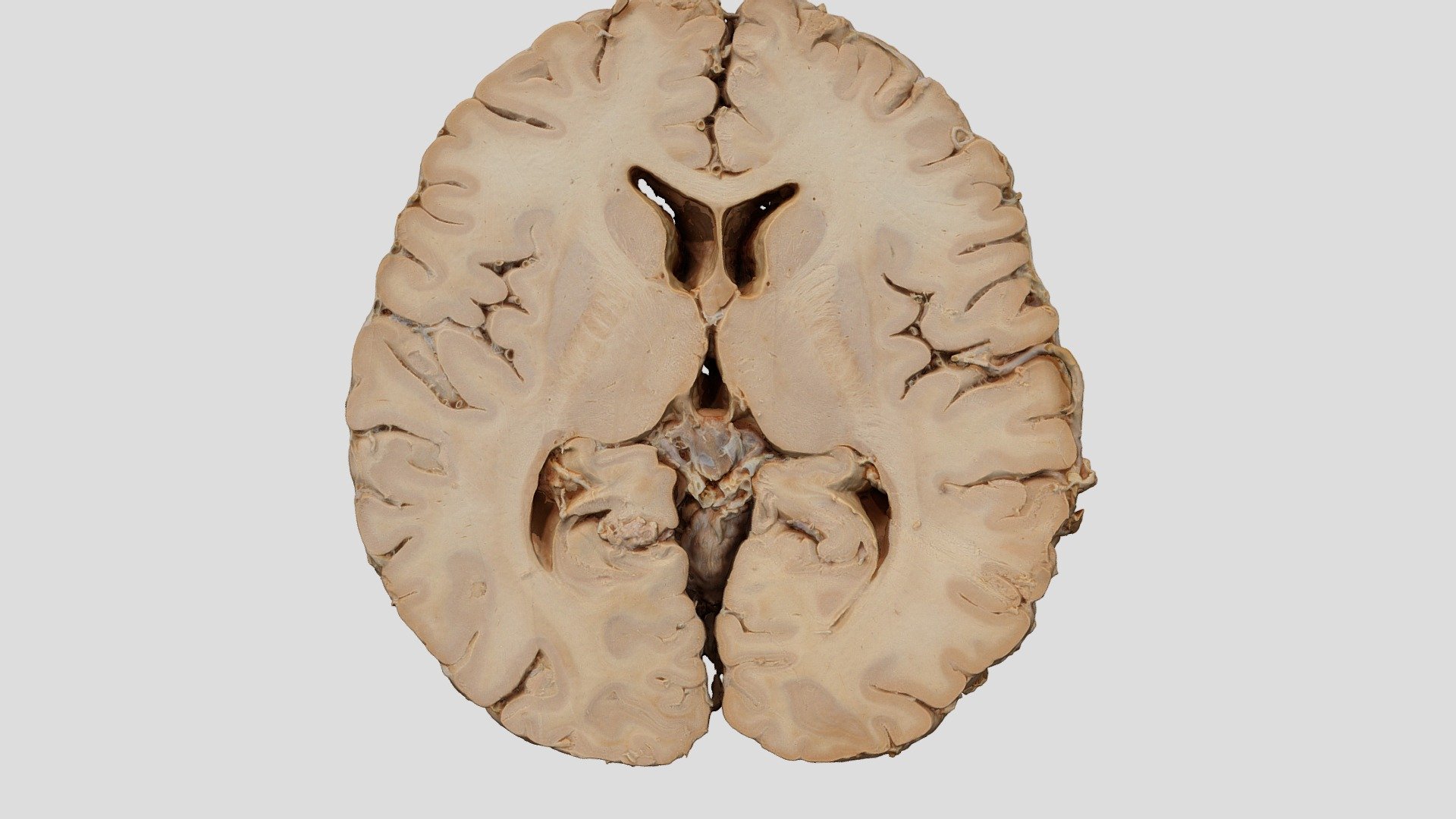 Horizontal-3A - 3D model by kucharm [66931a3] - Sketchfab