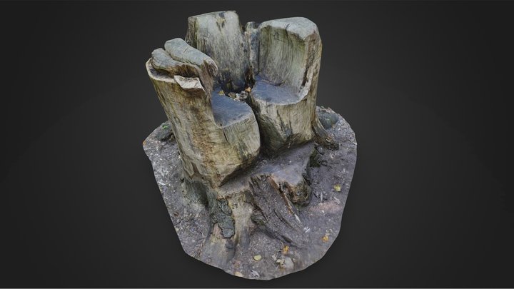 Tree-trunk 3D models - Sketchfab