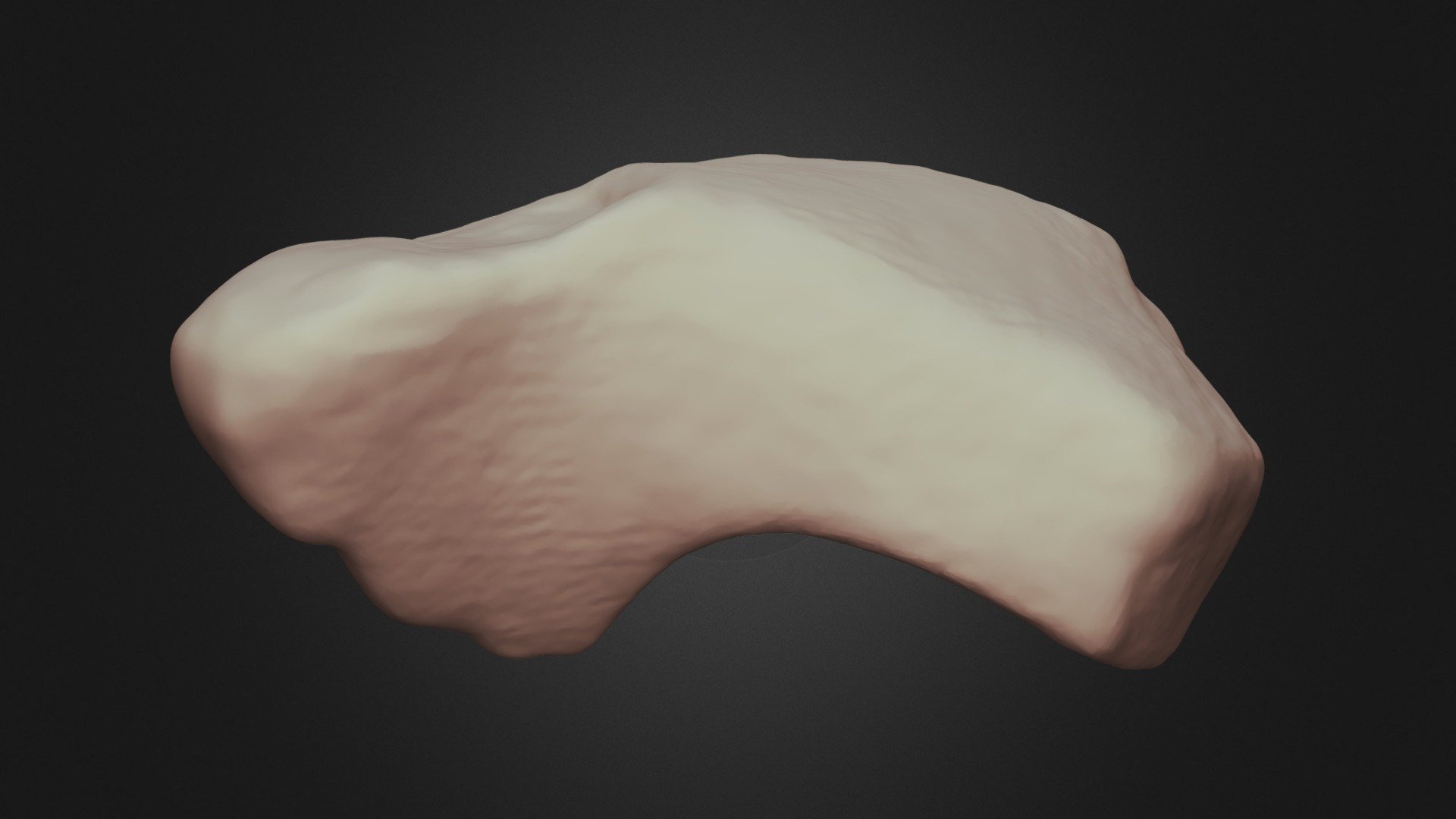 Ursus americanus Left Navicular - 3D model by Lakehead Anthropology ...