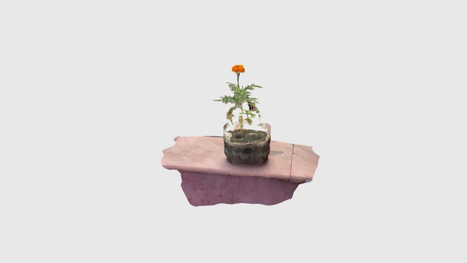 Flower - Download Free 3D model by Lazyom [669a695] - Sketchfab