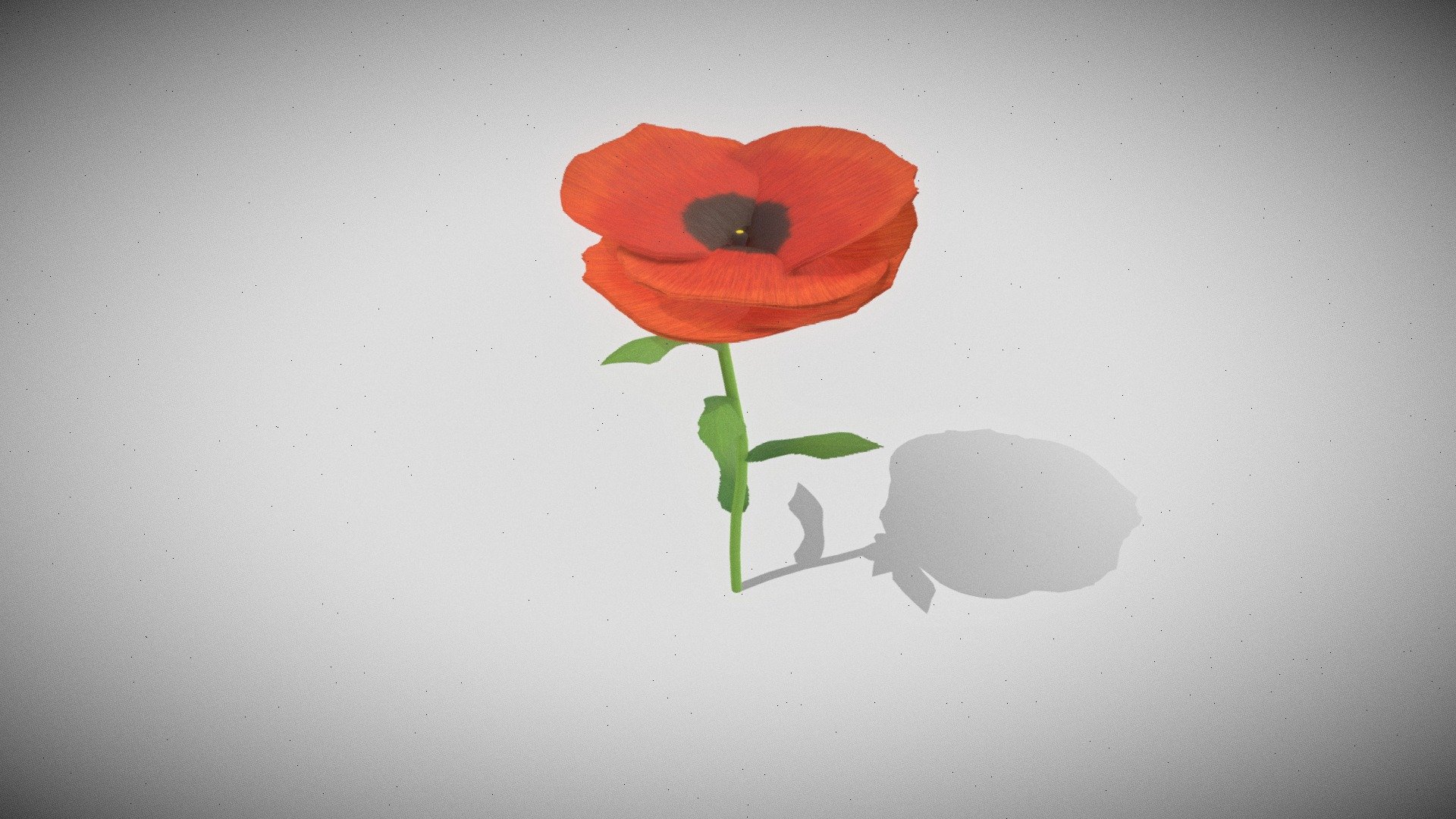 Red Poppy Flower - 3D model by JordanJenkins [669bbd4] - Sketchfab