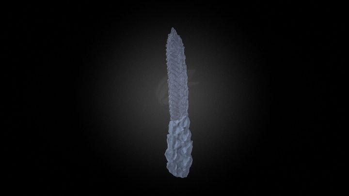 Nectosome 3D models - Sketchfab